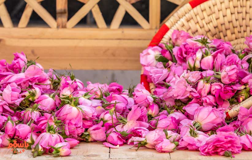 گلاب دو آتیشه چیست؟ + طرز تهیه، نحوه مصرف و خواص